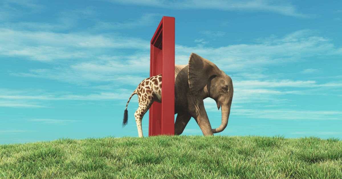5 Steps to Navigate a Transition - GOODNET | Gateway to doing good